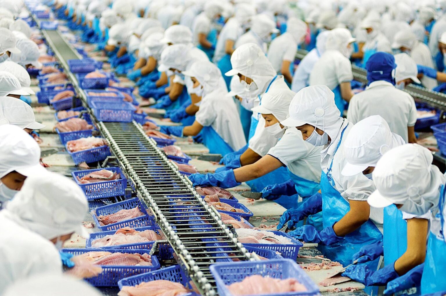Blog – Aqua Matrix – Premium Vietnamese Seafood Exporter | Pangasius ...