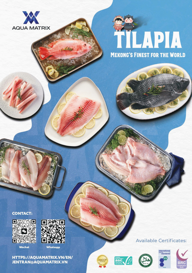 Tilapia Fish – Aqua Matrix – Premium Vietnamese Seafood Exporter ...